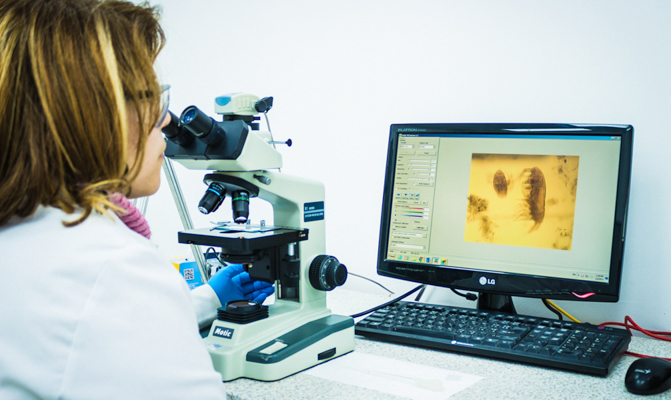 Taxonomy Lab - AZECOLAB