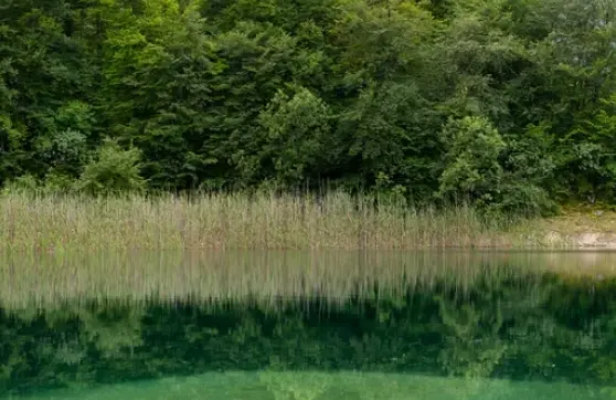Surface and Groundwater - AZECOLAB